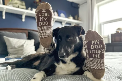 Puppy Love Socks with Colourwork Design